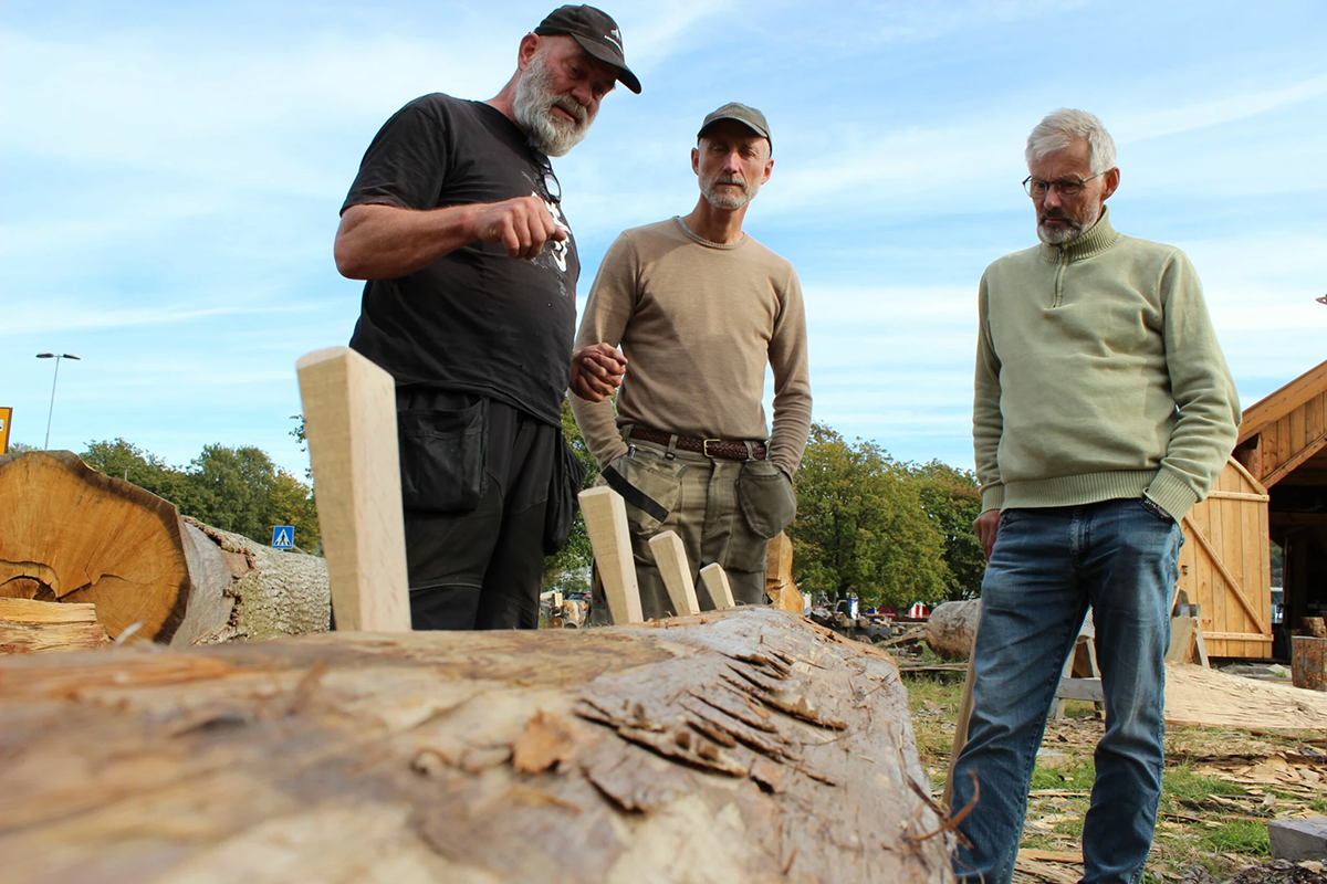 Bygger sitt tredje vikingskip i Vestfold. Nå har håndverkerne fått selskap av forskere - Oseberg ...